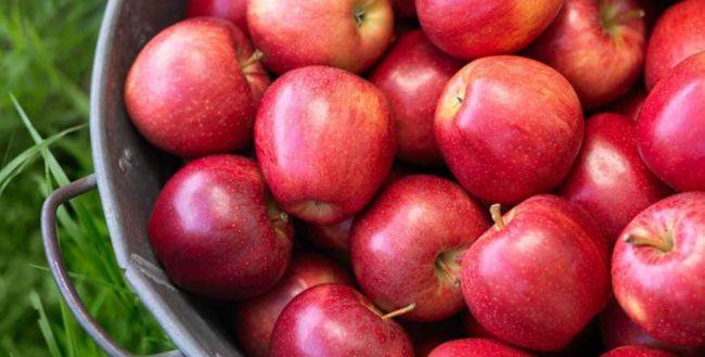 Fresh Market Update | Woolworths