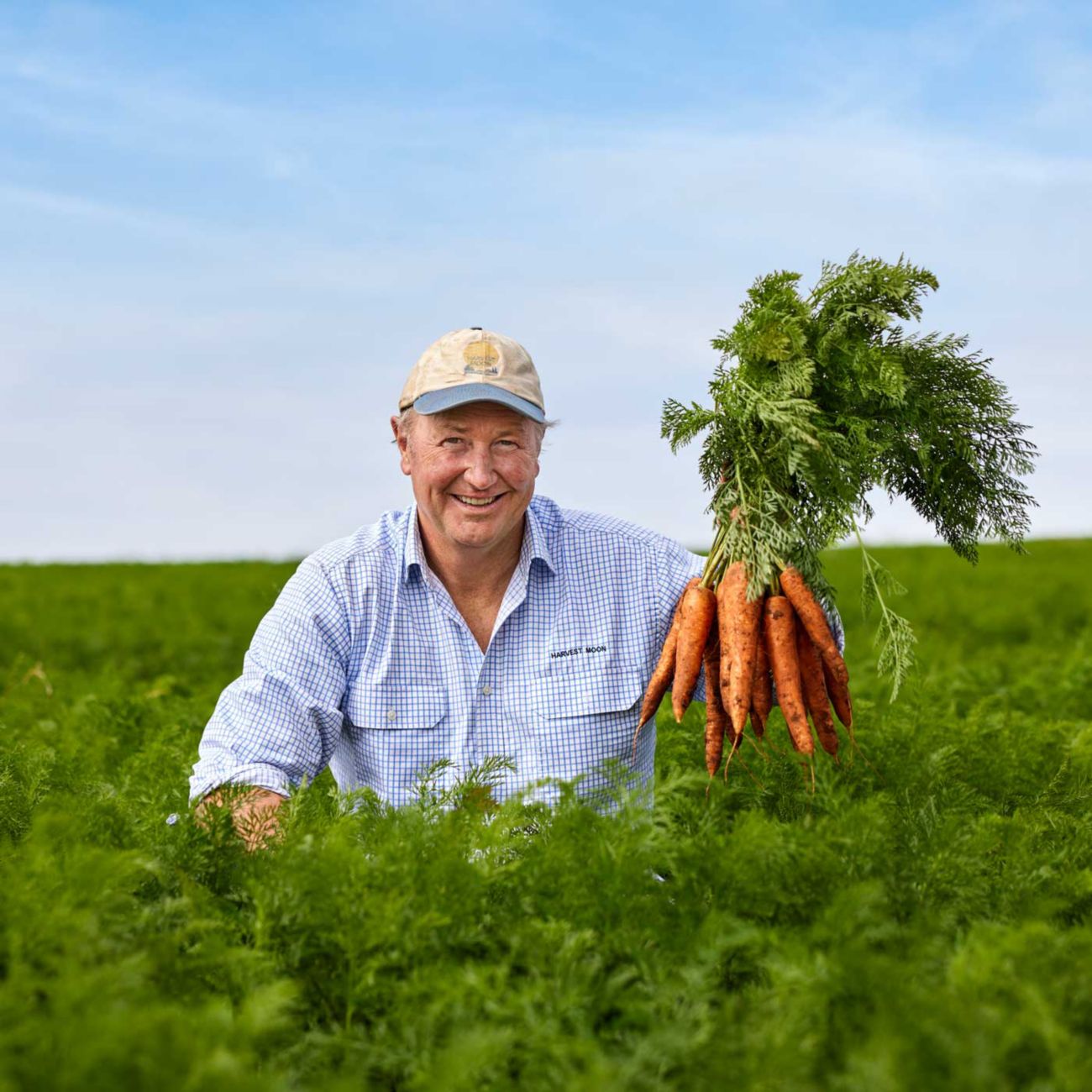 Fresh Market Update | Woolworths