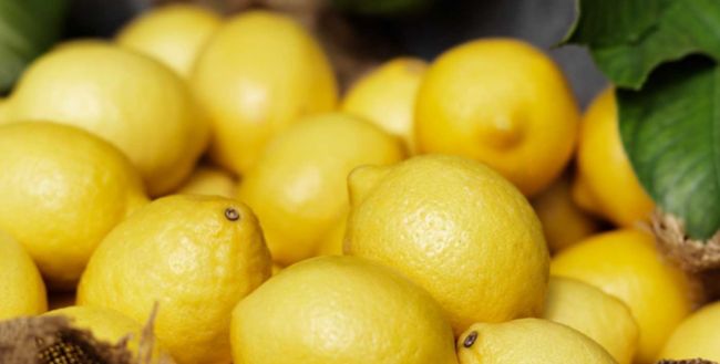 Fresh Market Update | Woolworths