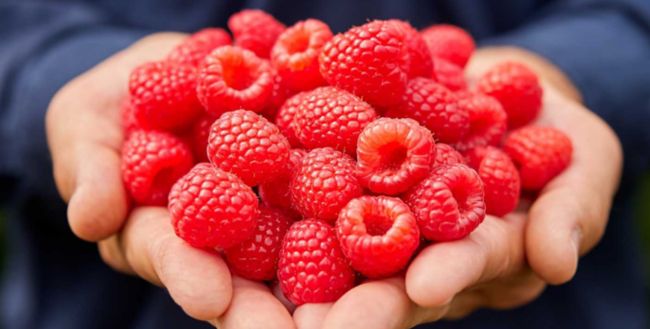 Fresh Market Update | Woolworths