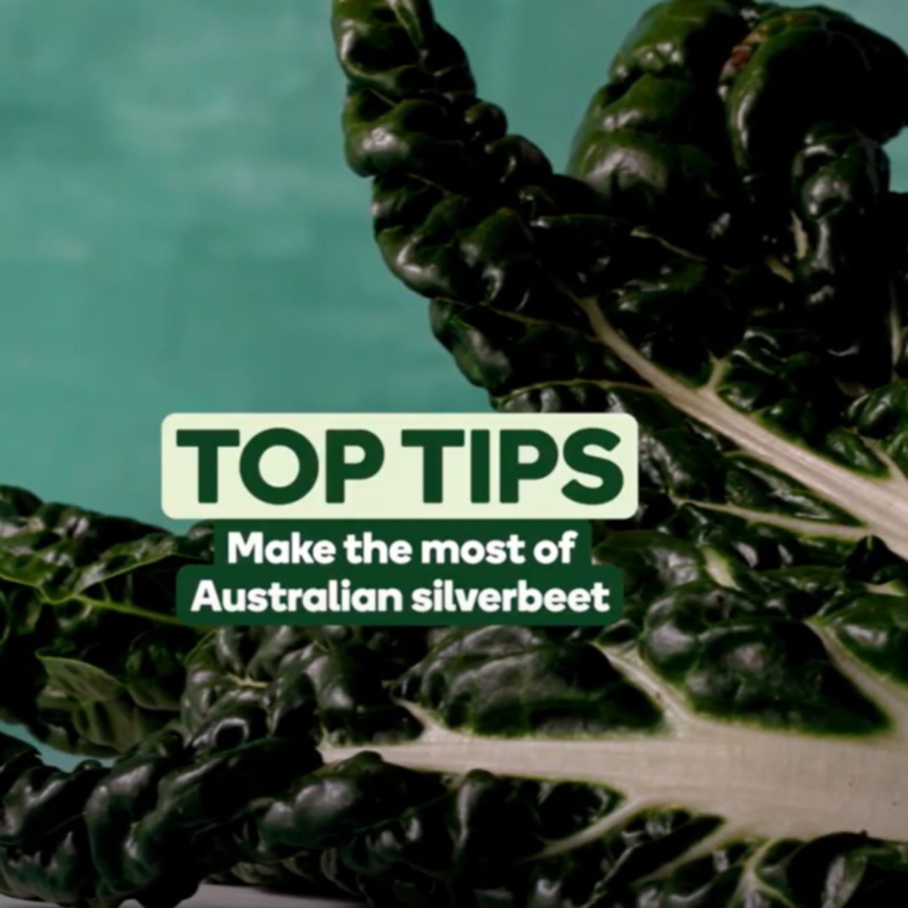 How To Use Silverbeet | Woolworths
